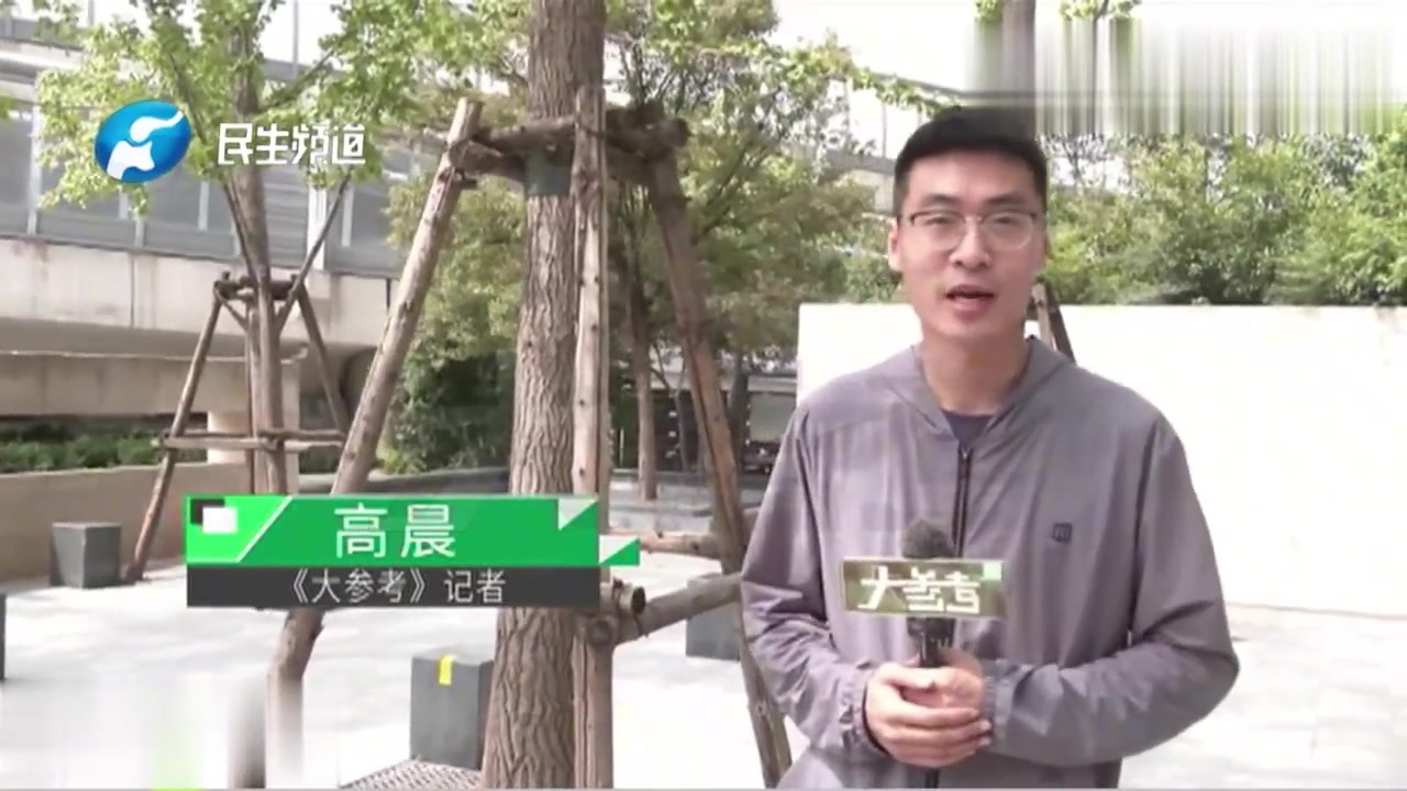 擅自砍伐被风吹倒的树木是否构成犯罪?最高法明确了!