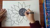 线描画向日葵 黑白装饰画 儿童创意绘画教程