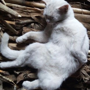 冬暖花会开66804 