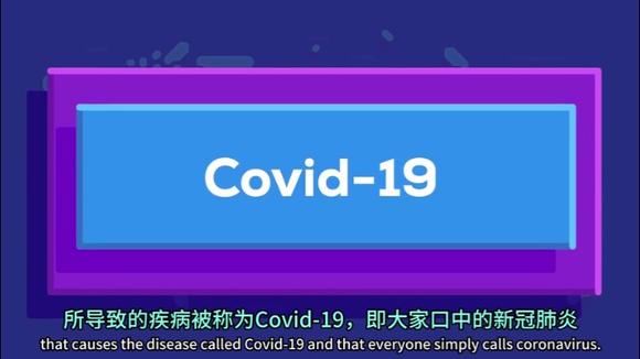 什么是新冠病毒?
