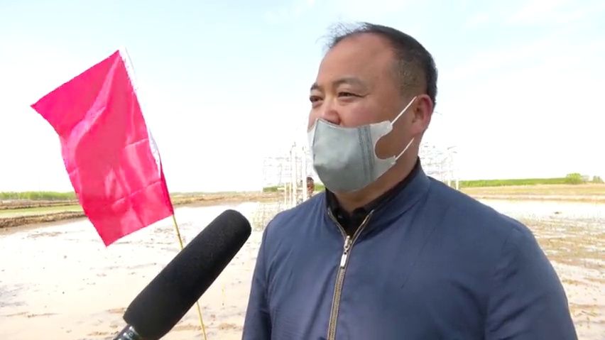 我县召开水稻机械有序抛秧现场会