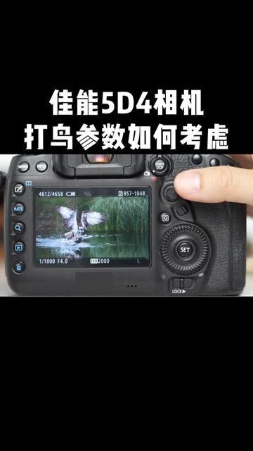 佳能5D4相机打鸟参数如何考虑