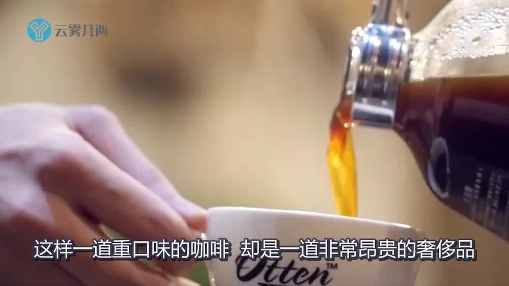 泰国象屎咖啡制作不易,大象被强灌咖啡豆痛苦排便,是土豪的最爱