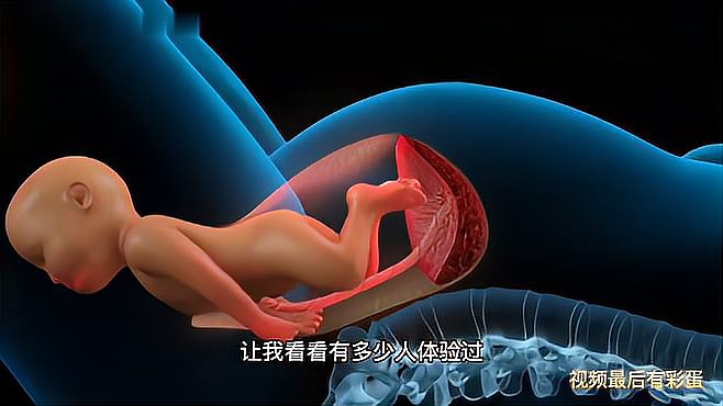 你有亲身体验过生宝宝的过程吗?神奇的生命诞生过程