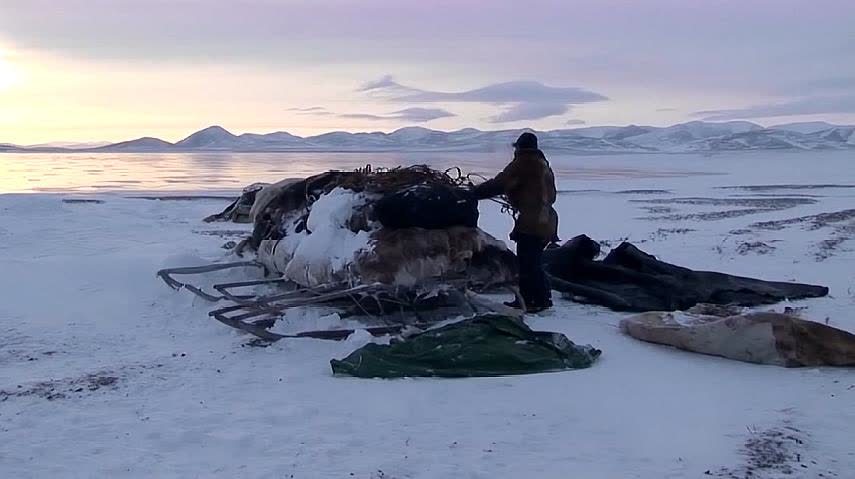 俄罗斯人被称为战斗民族,但和这个民族比起来,什么都不算!
