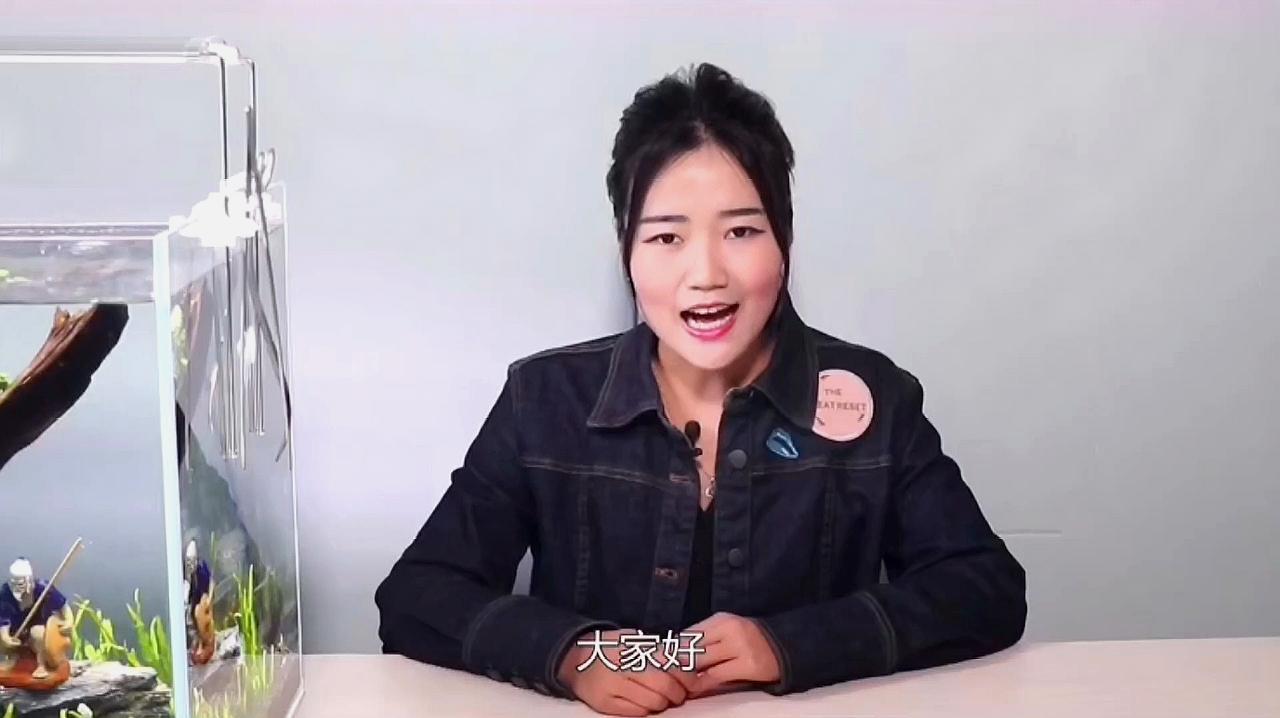 新手如何维持鱼缸生态平衡,教你4招!轻松解决问题