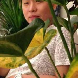 广东勇哥家具维修大号 