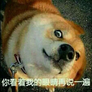 阿菜才不是菜狗 