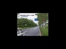 模拟驾照考试 驾照考试项目