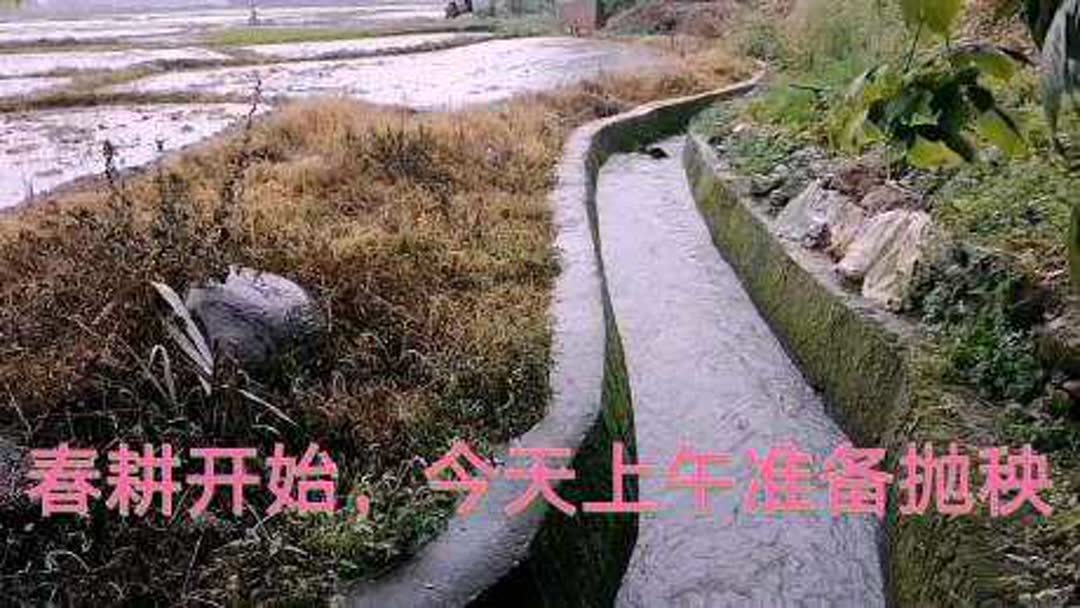 一分耕耘一分收获,来看看我们粤北山区是怎样种稻谷的?