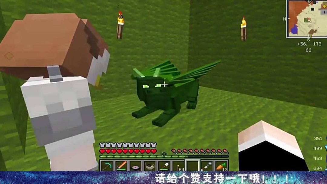 【木鱼解说】我的世界:这条龙的皮肤颜色怎么那么绿?