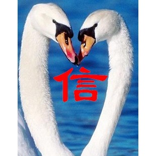 天交所173号会员天津镁富 