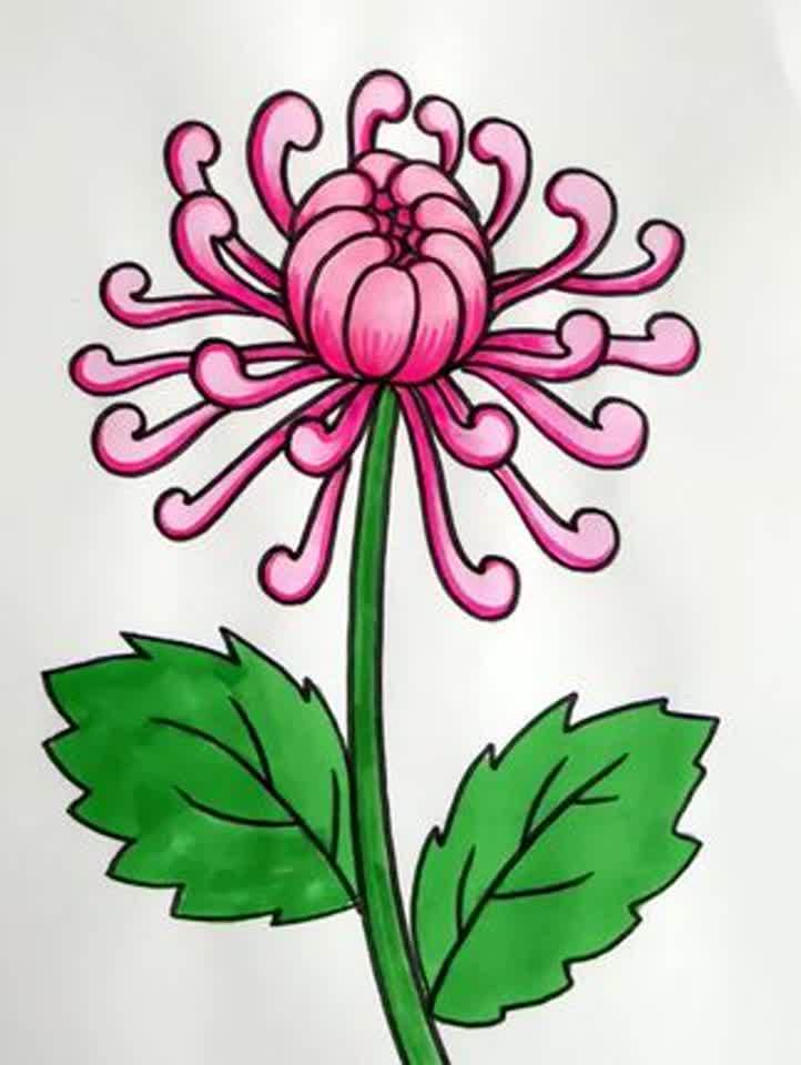 教你这样画菊花,简单易学又好看一起学画画