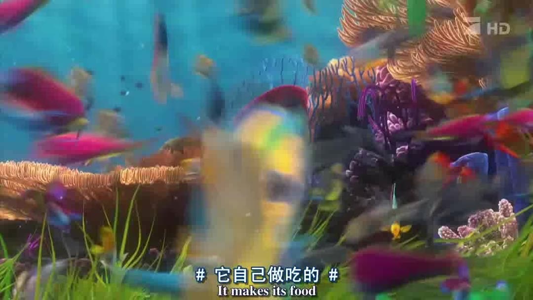 海底总动员片段.avi