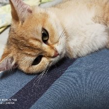 活泼可爱的小苗 