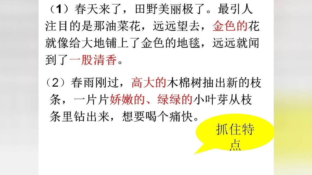 33景物片断描写习作指导