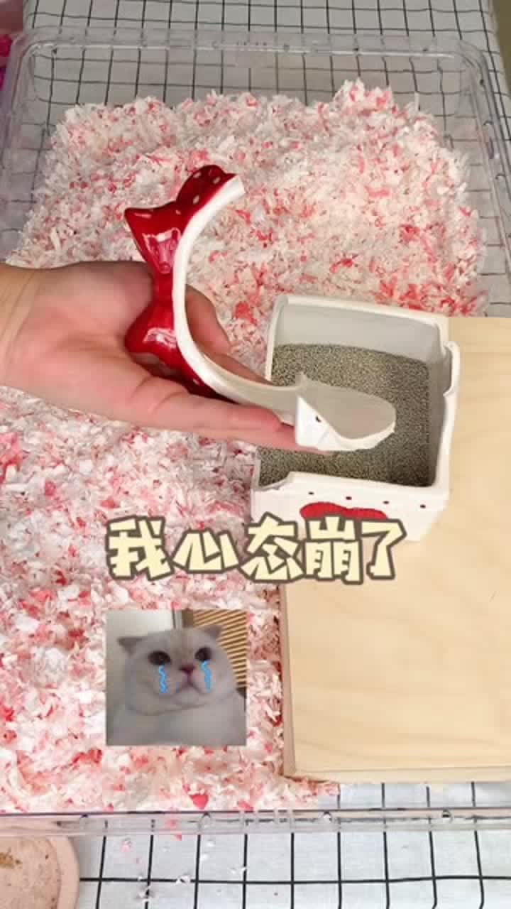 金丝熊 仓鼠 给仓鼠布置过冬笼子~ 伤心的一天!