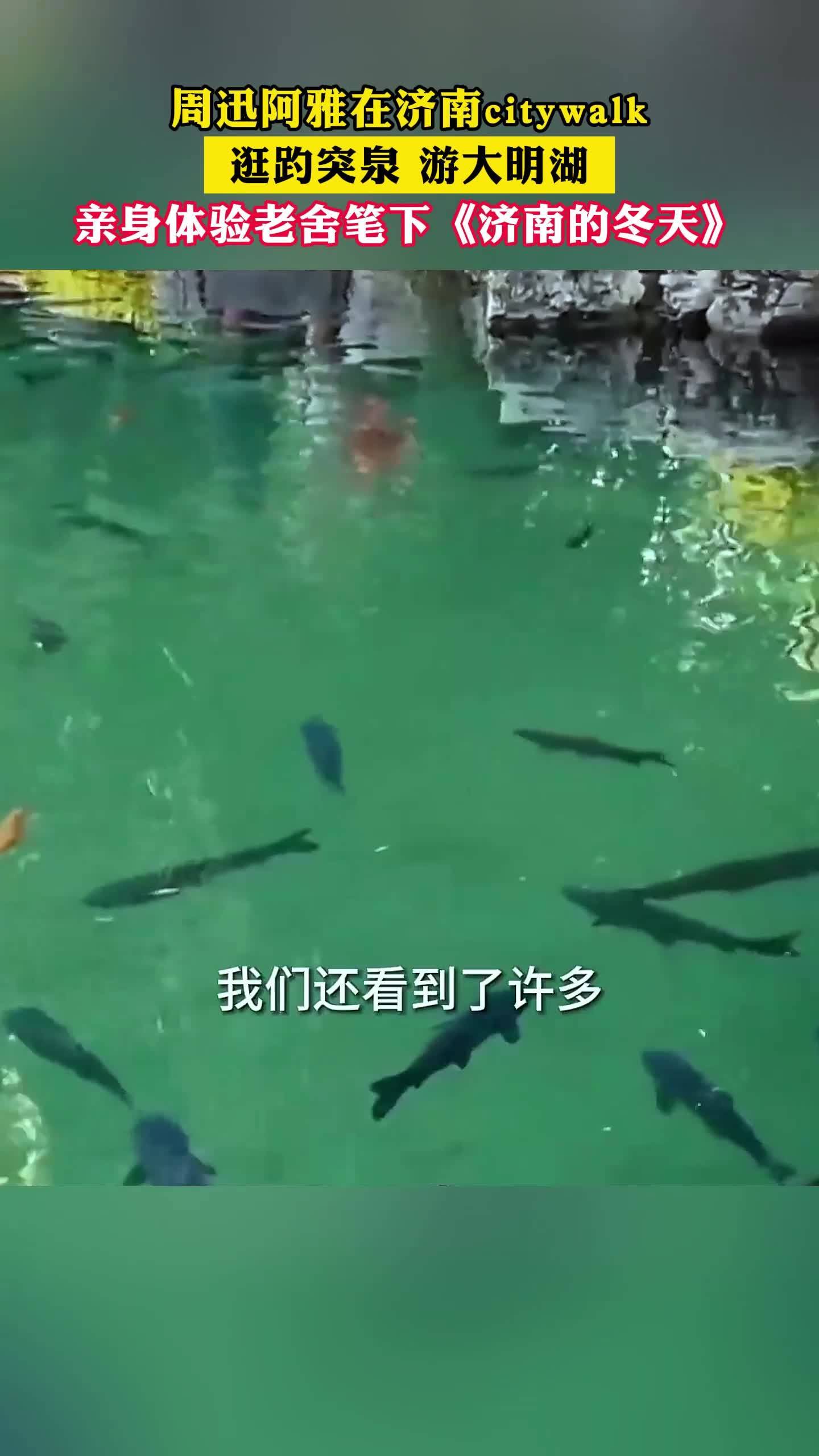 周迅阿雅济南citywalk,亲身体验老舍笔下《济南的冬天》