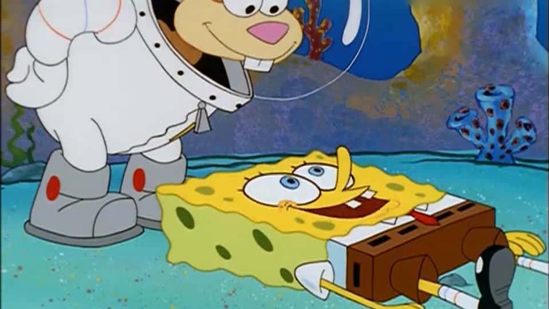 海绵宝宝:海绵宝宝与袋鼠的自我介绍