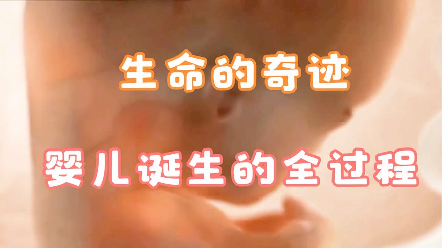 婴儿的诞生,以记录片形式,解读人类生命诞生的全过程。
