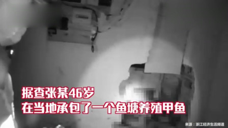 男子毒杀流浪狗,卖到饭店后被抓:吃死人怎么办?