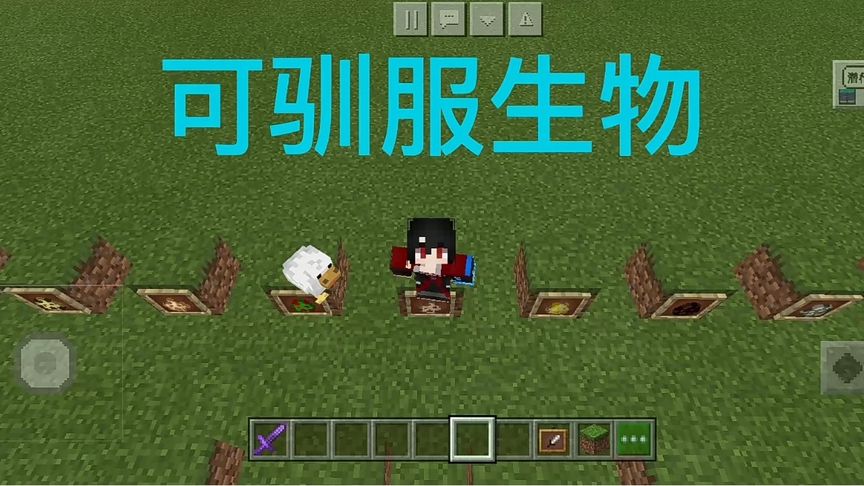我的世界第14期可被驯服的生物篇
