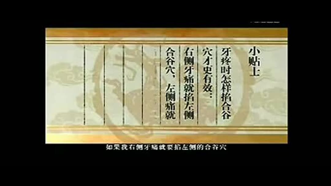 中里巴人 手阳明大肠经