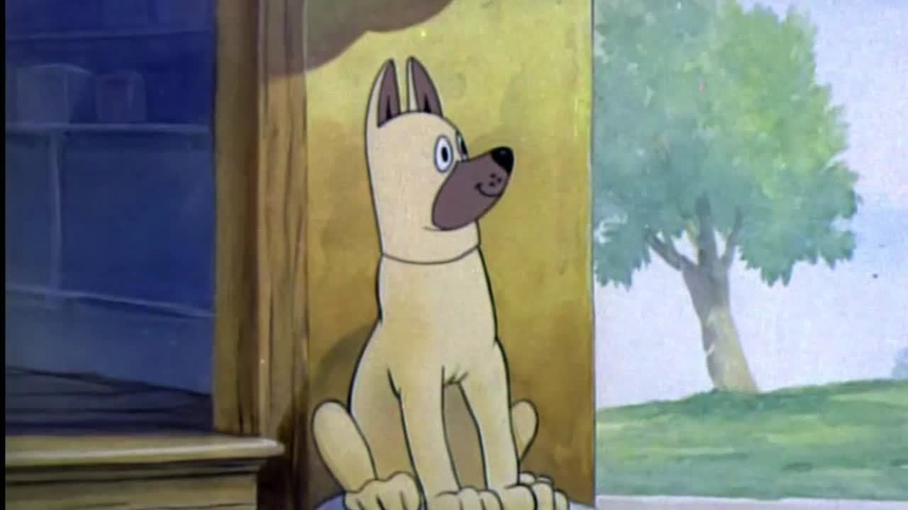 猫和老鼠:汤姆杰瑞追逐战,不料误入狗舍,这下有趣了