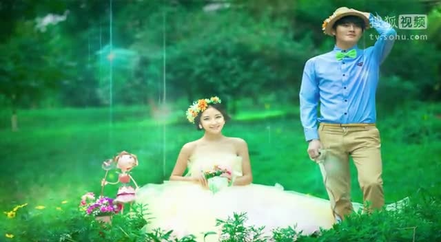 EDIUS6高清模板心动2013婚庆模板ED模板相片版