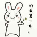 王哲物理智姐化学 