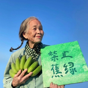 八月与长安 