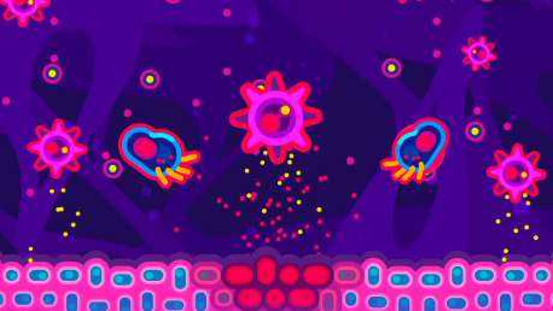 三分钟带你看一下,人类的免疫系统是怎么被新冠病毒攻陷的?