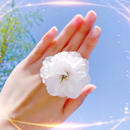 lianshangnidemou1988 