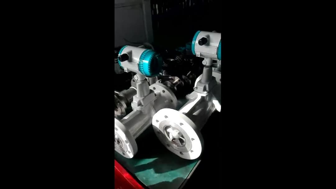 青天仪表旋进漩涡流量计