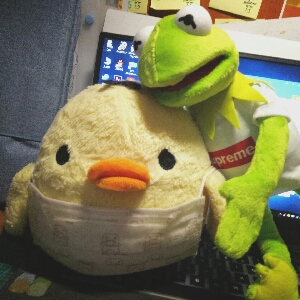 joeanna桑养鸭仔 