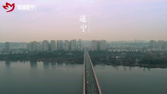 遂宁抗击新型冠状病毒 宣传片《谢谢你 遂宁》