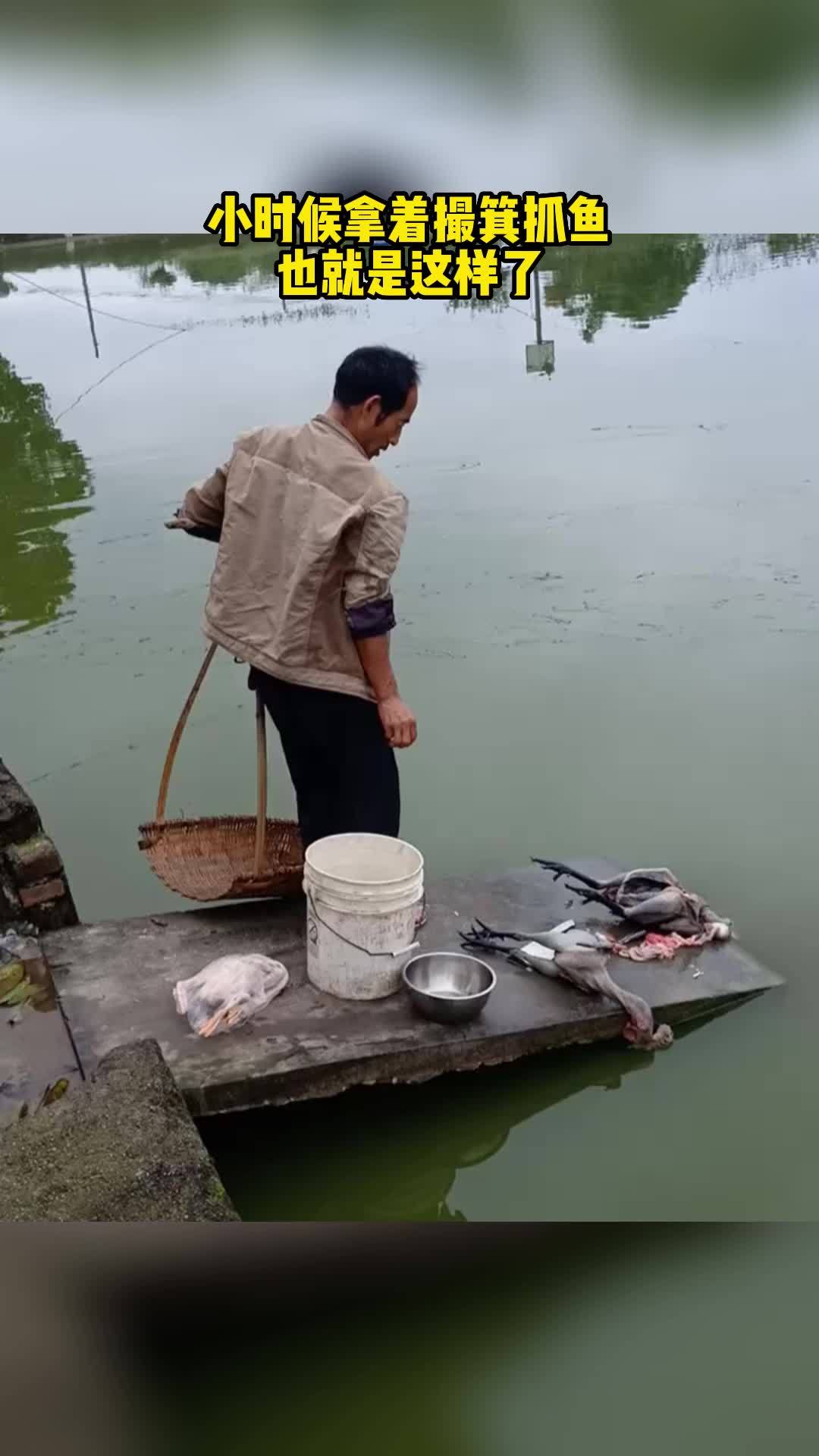小时候拿着撮箕抓鱼也就是这样了