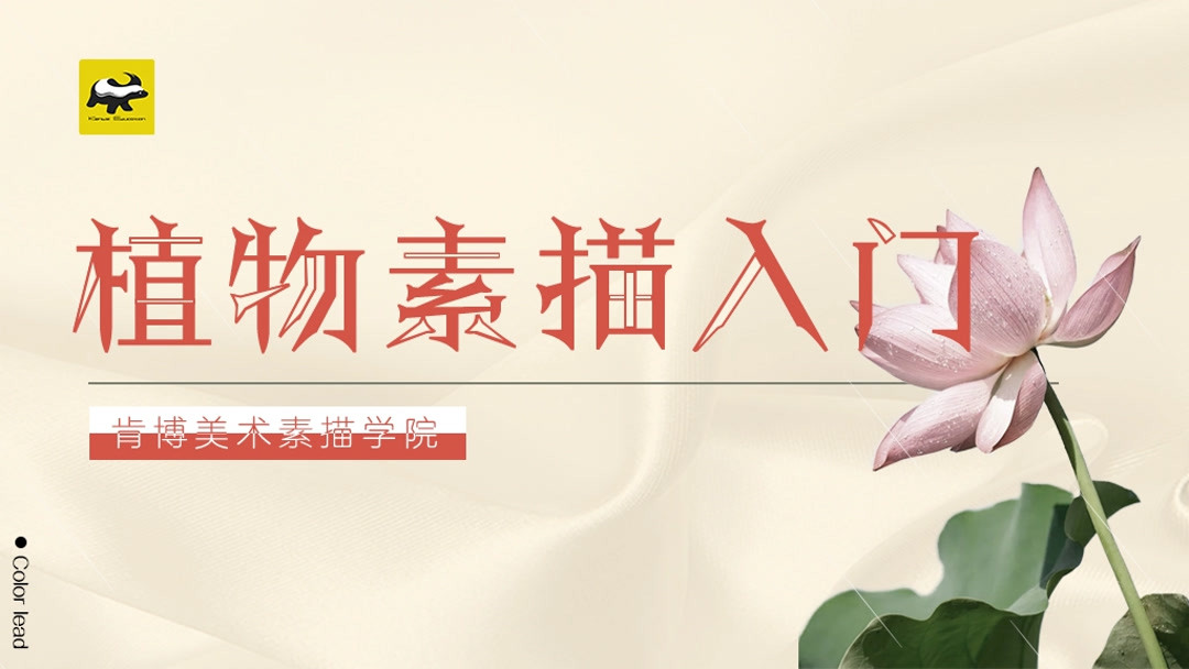 植物素描《荷花》之作品分析