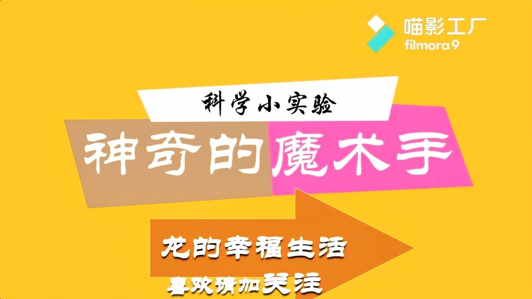 神奇的魔术手 科学小实验 牛顿第一定律 惯性定律