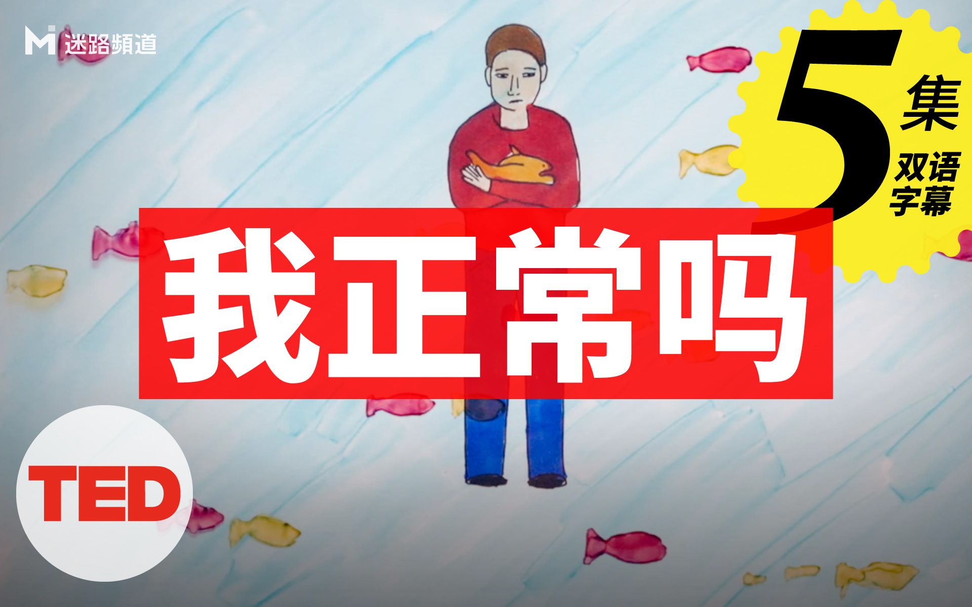 我正常吗?「数据中的生活智慧」专题5集|TED高清中英双语CC字幕