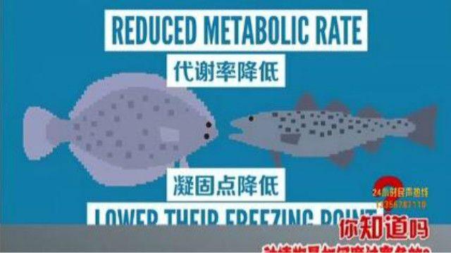 你知道动植物是如何度过寒冬的吗?