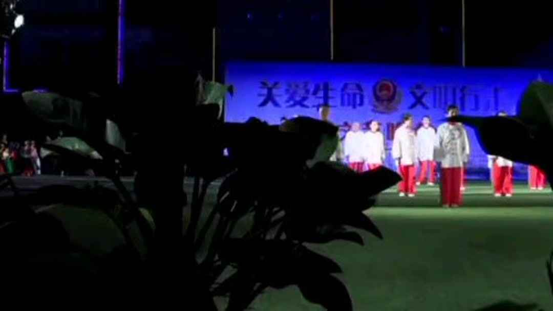 太极功夫扇(东山县太极拳协会)(2014年庆五一文体晚会)