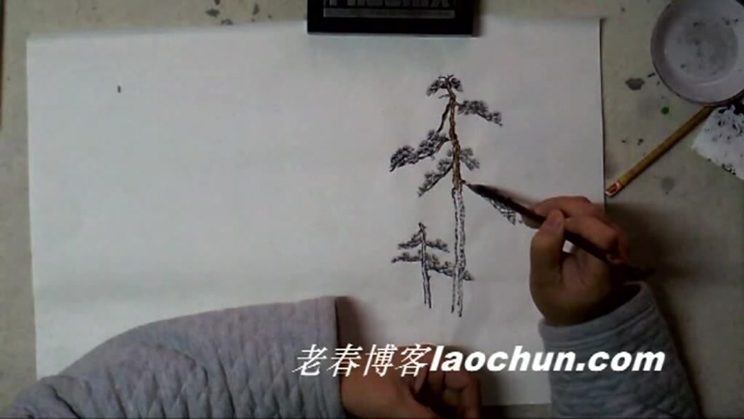 国画入门30天攻略 第25天 松树的画法(下)