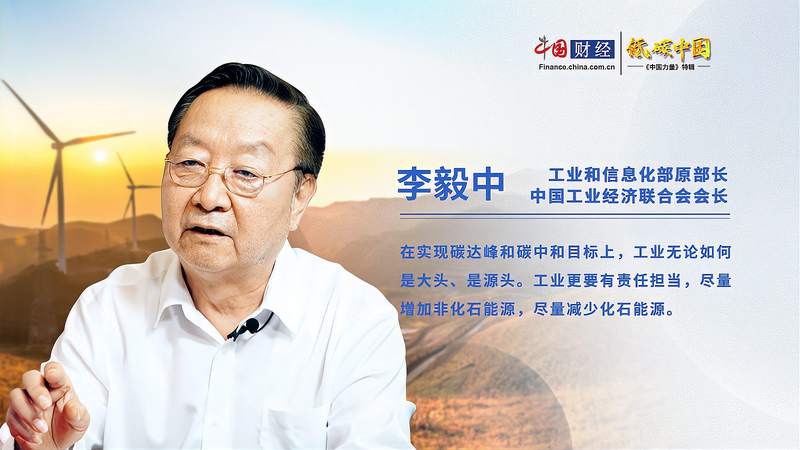 李毅中:实现双碳目标需要全面布局