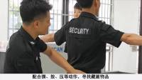 航空安全检查—人身背部检查技术及训练提升方法