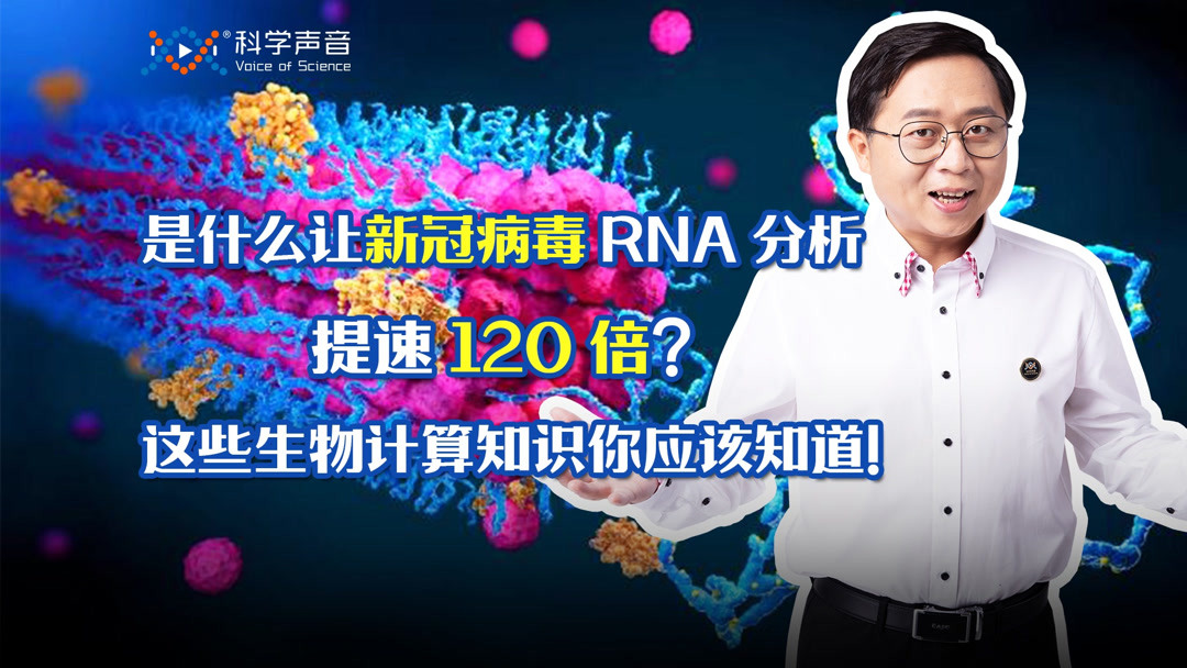 是什么让新冠病毒RNA分析提速120倍?这些生物计算知识你应该知道