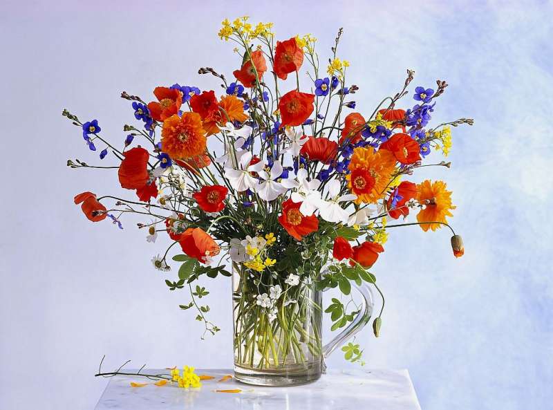 插花视频培训课程,零基础学插花视频教程,花艺插花在线教学