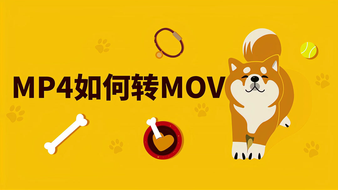 MP4视频如何转MOV?