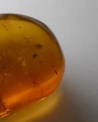 【15岁中国高中生琥珀内发现1亿年前甲虫,专家:全新物种】21日上午,...