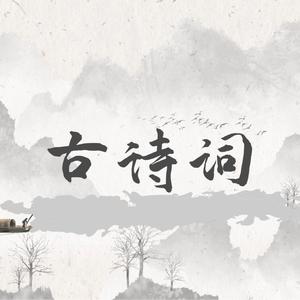 乐器入门教程 
